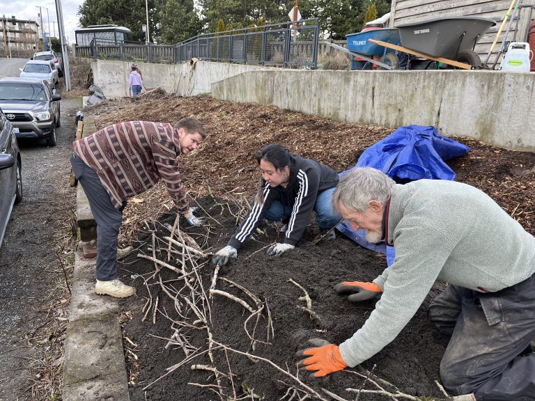 The Hows and Whys of Planting Fruit Trees on a Slope – City Fruit